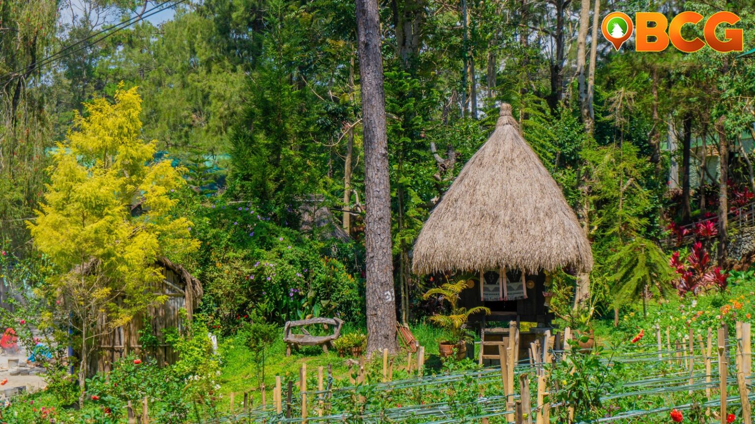 Stories in Photos: "Baguio Botanical Garden" | BCG