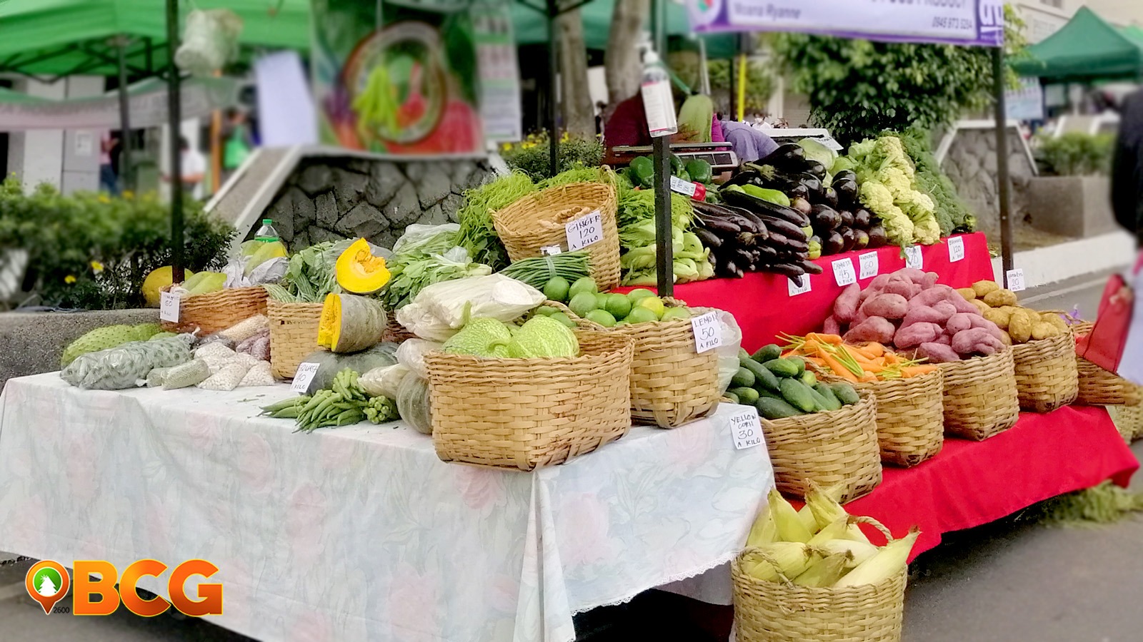 Urban Farmers to Showcase Local Products for Agri-Tourism Trade Fair | BCG