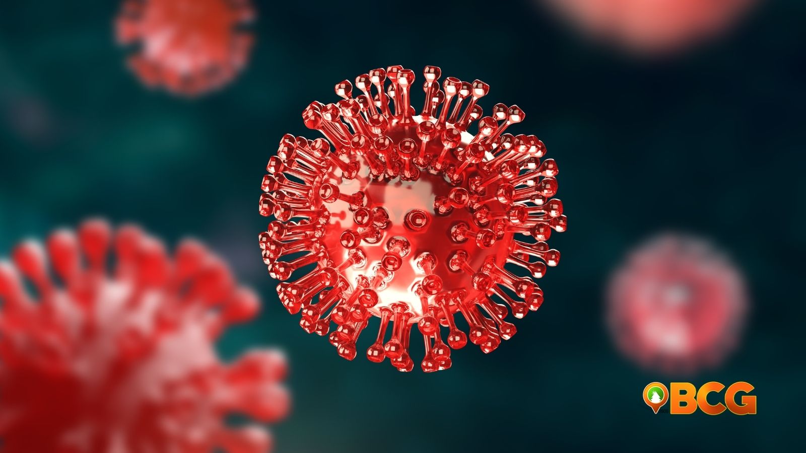 The Delta Variant and what we know so far | BCG