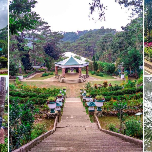 Camp John Hay Baguio Travel Guide | BCG