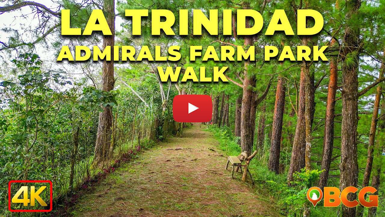 Admirals Farm Park Travel Guide | BCG