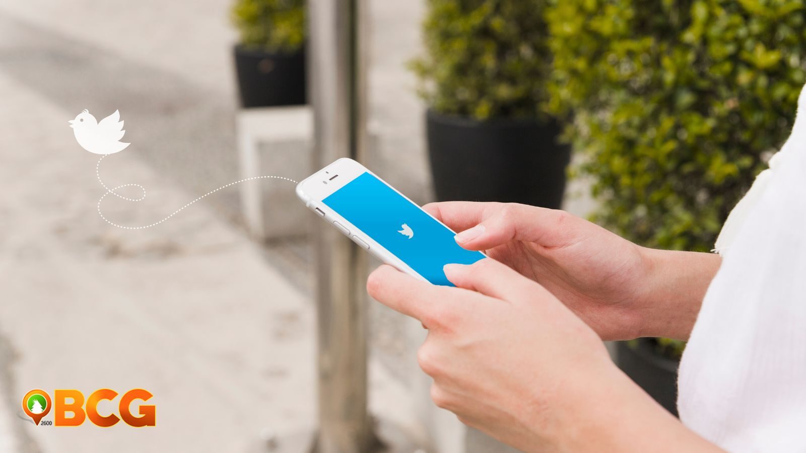 Is Twitter’s ‘blue tick’ a status symbol or ID badge? And what will ...