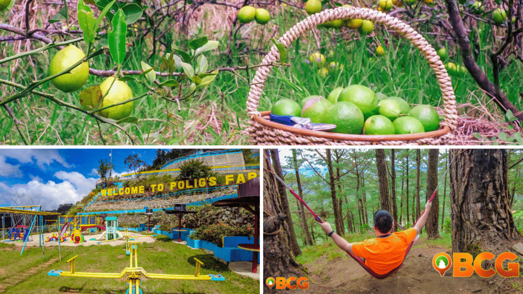 Escape the City and Embrace Tranquility: A Glimpse of Tublay's Tourist ...