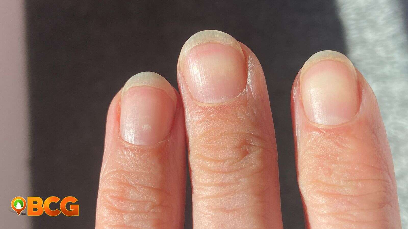 Terrys Nails