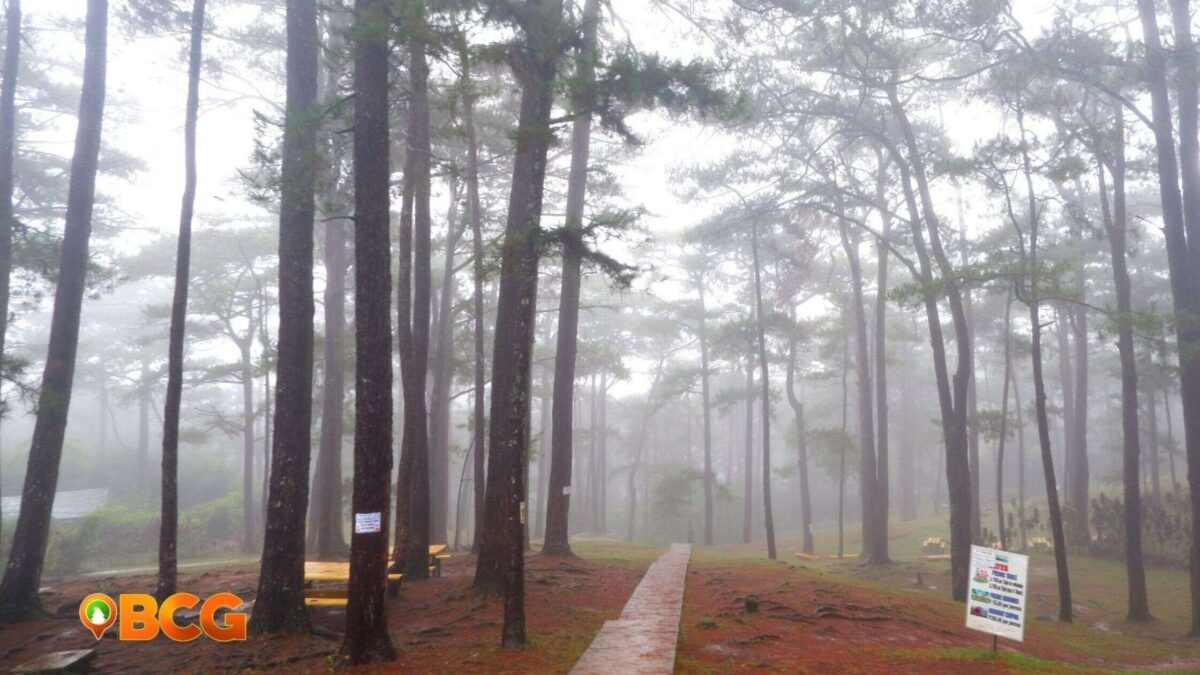 Baguio Weather December 8, 2020 | BCG