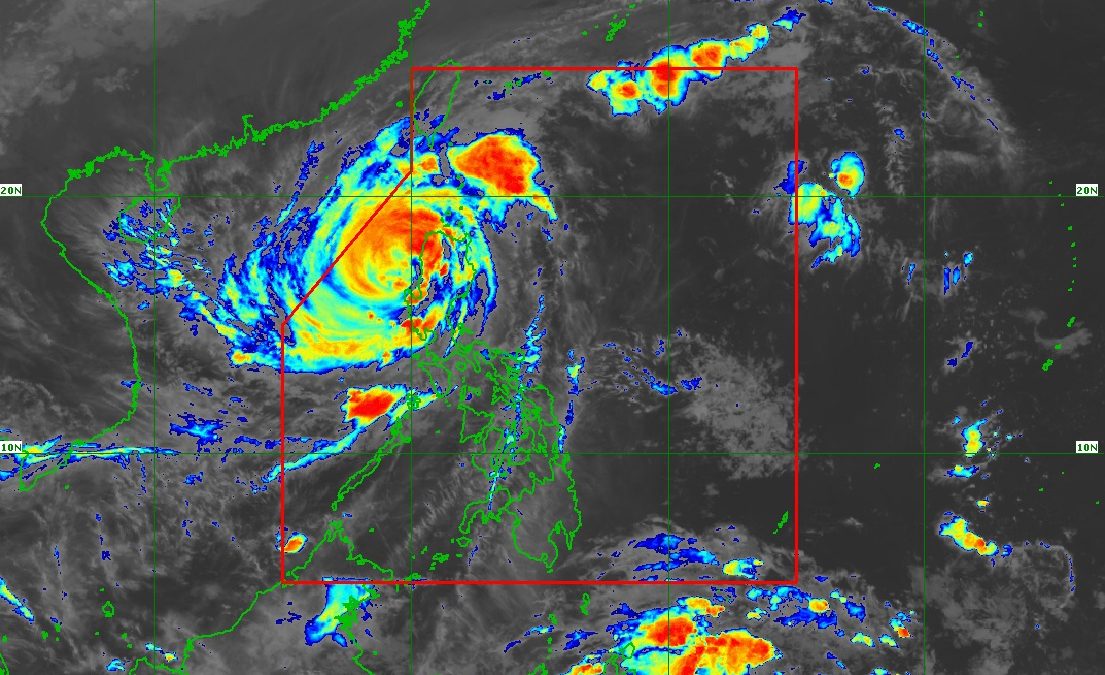 Atok Sakura Park: Where to See Cherry Blossoms in Benguet (2025 Travel ...